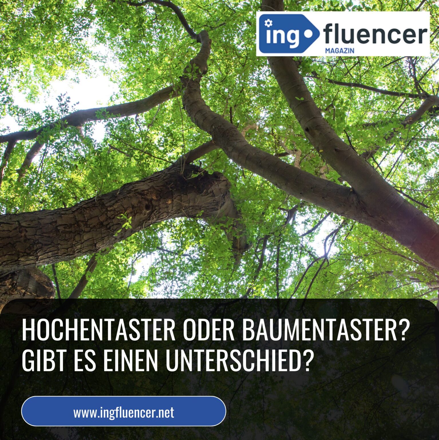 Baumentaster Was Ist Das